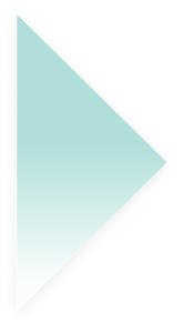 NDMO Data Governance Solutions | ARMS Compliance Services